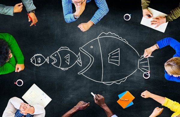 Natural Selection - Definition and Examples | Biology Dictionary