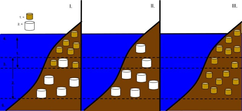 Fundamental Niche And Realized Niche Astonishingceiyrs