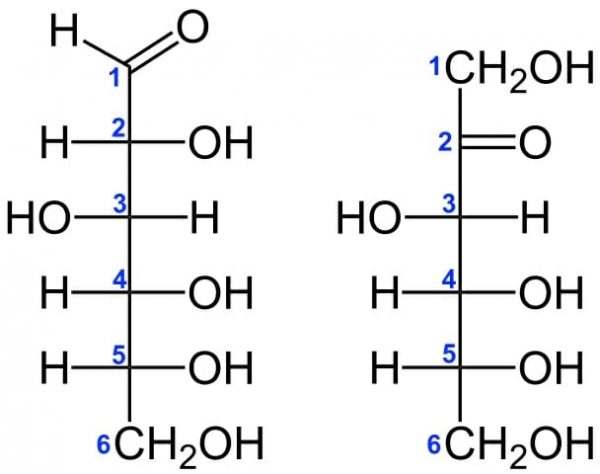 Isomer - Definition, Types, Example and Quiz | Biology Dictionary