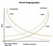 Island Biogeography: Theory and Examples | Biology Dictionary
