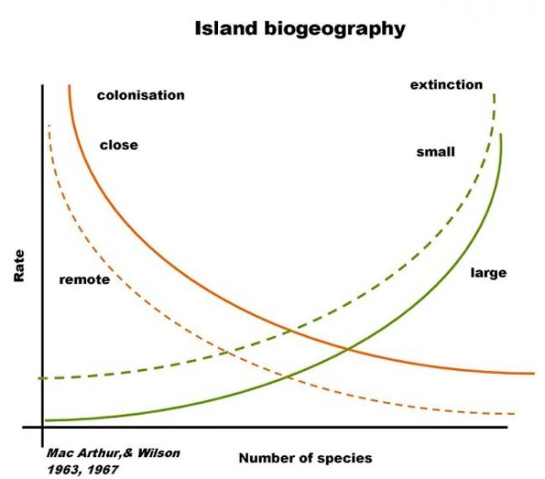 Island Biogeography: Theory and Examples | Biology Dictionary