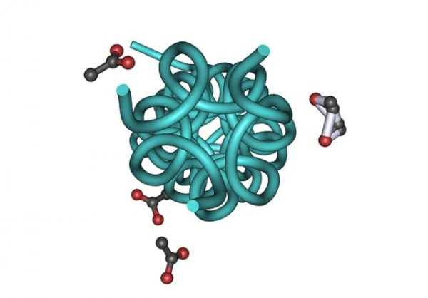 Extracellular Matrix: Definition, Function, Components | Biology Dictionary