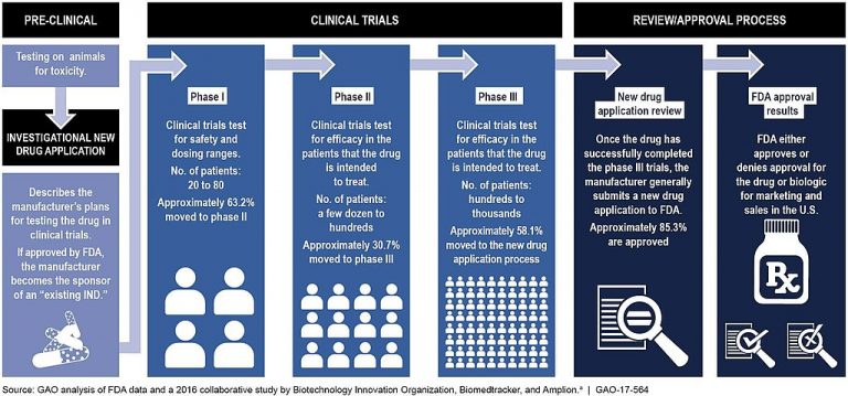 Controlled Variable - Definition and Examples | Biology Dictionary