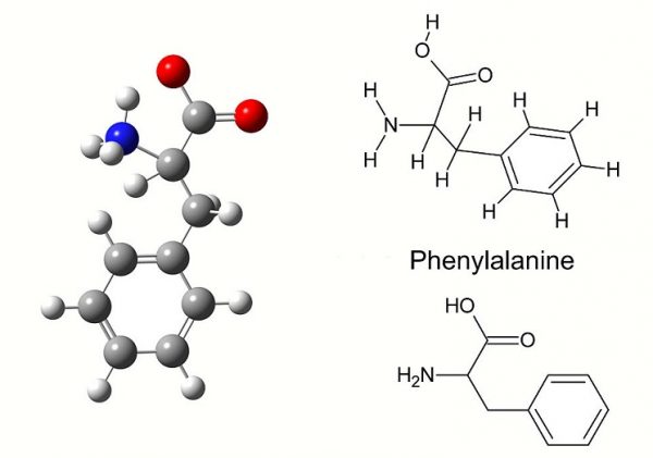 Amino Acids Benefits Structure And Function Biology Dictionary