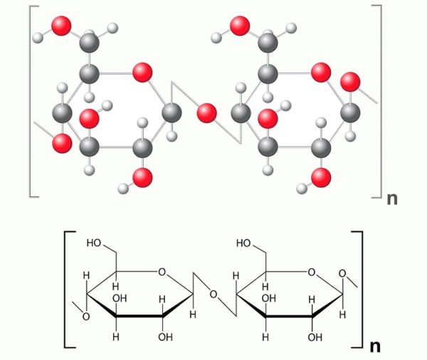 [LS1-6] Sugar to Carbon Molecules | Biology Dictionary