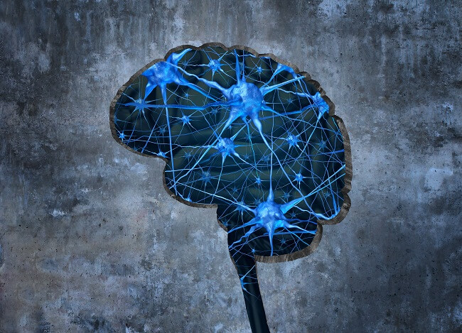 Implicit Memory The Definitive Guide Biology Dictionary