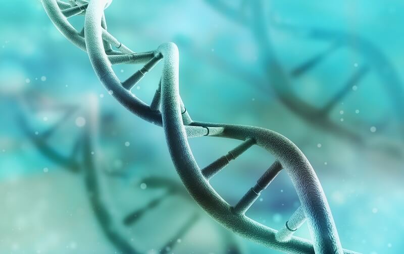 Double Helix The Definitive Guide Biology Dictionary