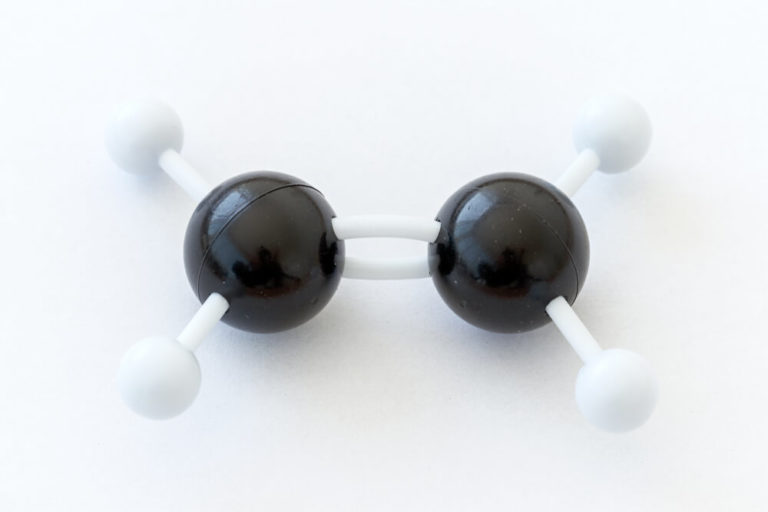 Covalent Bond | Biology Dictionary