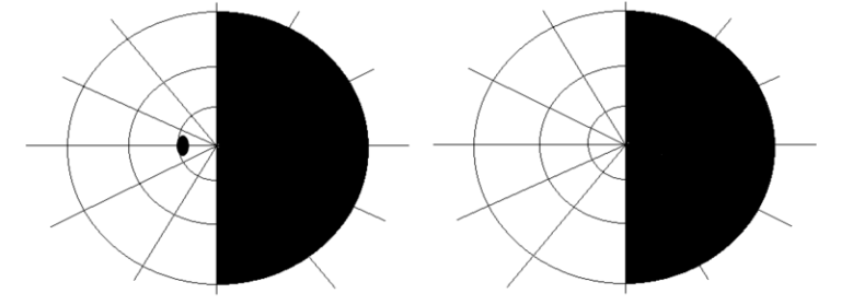 Occipital Lobe - The Definitive Guide | Biology Dictionary