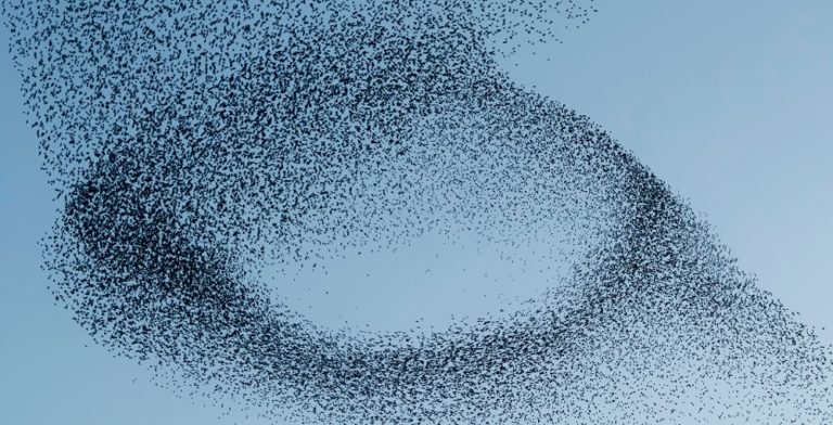 Classical Conditioning - The Definitive Guide | Biology Dictionary