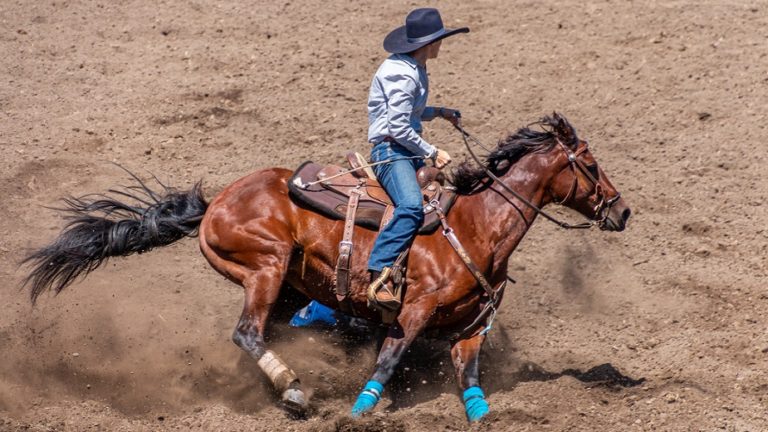 Hip Muscles - The Definitive Guide | Biology Dictionary