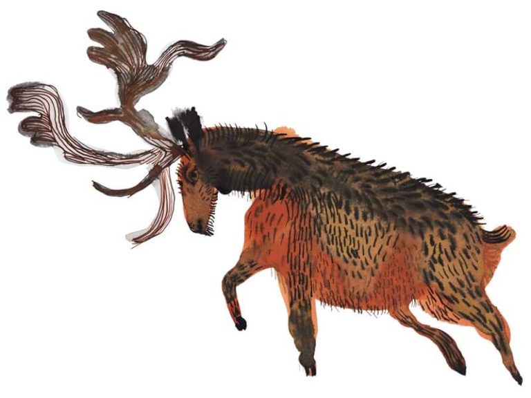 Irish Elk - Facts and Beyond | Biology Dictionary