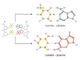 Protein Synthesis - The Definitive Guide