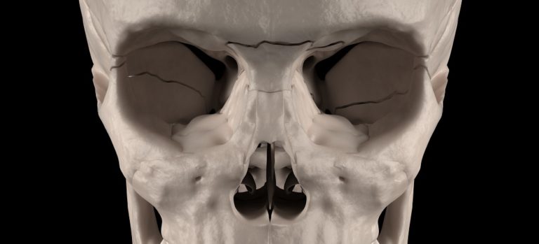 Lacrimal Bone - The Definitive Guide