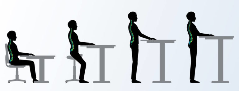 Gluteus Maximus - The Definitition Guide