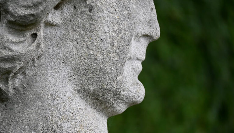 The Skull - The Definitive Guide | Biology Dictionary