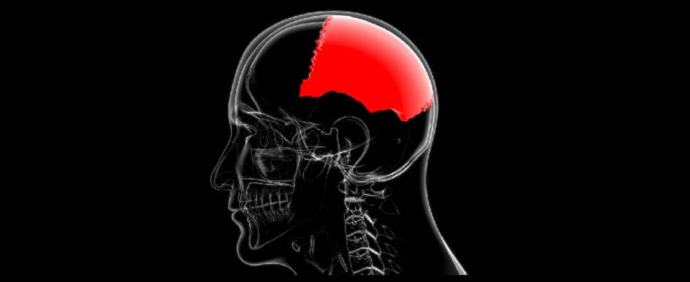 Parietal Bone - The Definitive Guide