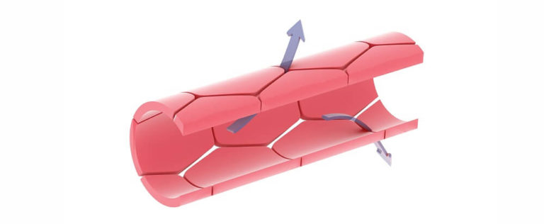 Connective Tissue - The Definitive Guide | Biology Dictionary