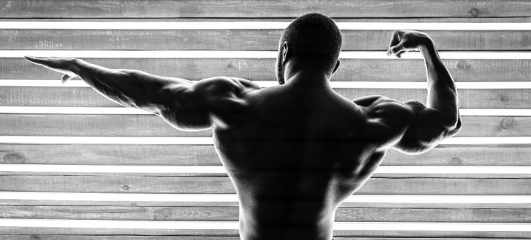 Muscle Atrophy - The Definitive Guide | Biology Dictionary