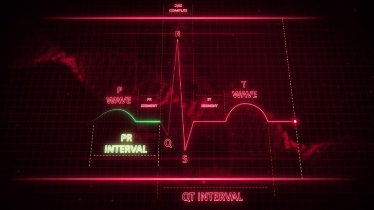 PR Interval - The Definitive Guide | Biology Dictionary