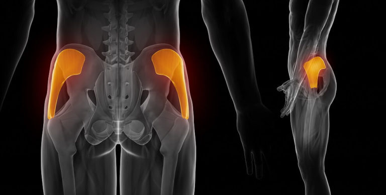 Hip Abduction - The Definitive Guide | Biology Dictionary Hip Abduction - The Definitive Guide | Biology Dictionary