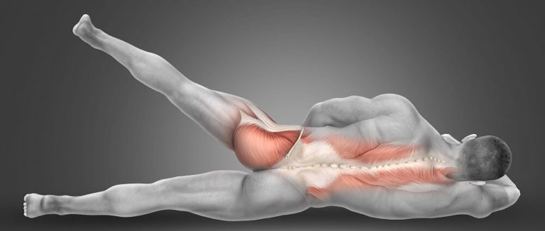 Hip Abduction - The Definitive Guide | Biology Dictionary Hip Abduction - The Definitive Guide | Biology Dictionary