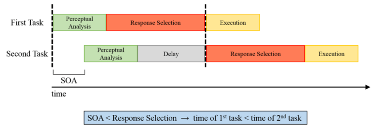 Refractory Period - The Definitive Guide | Biology Dictionary