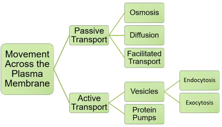 Osmolarity - The Definitive Guide
