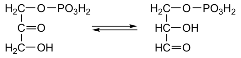 Glycolysis - The Definitive Guide | Biology Dictionary
