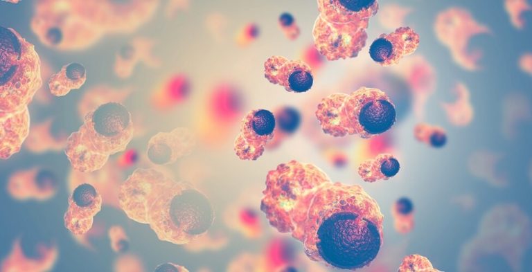 Cancer Cell - The Definitive Guide | Biology Dictionary