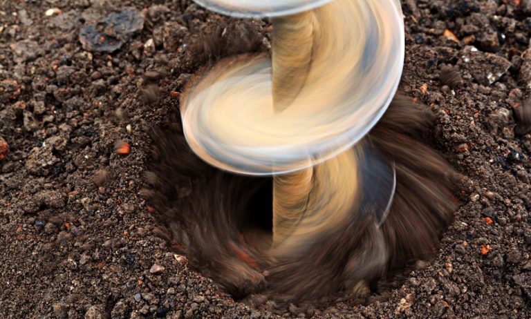 Sperm Cell - The Definitive Guide | Biology Dictionary