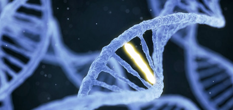 Cancer Cell - The Definitive Guide