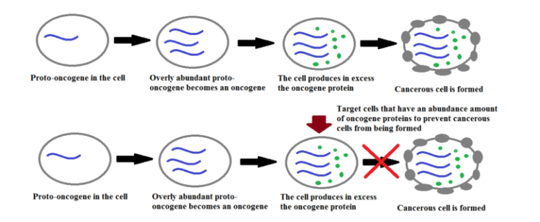 Cancer Cell - The Definitive Guide